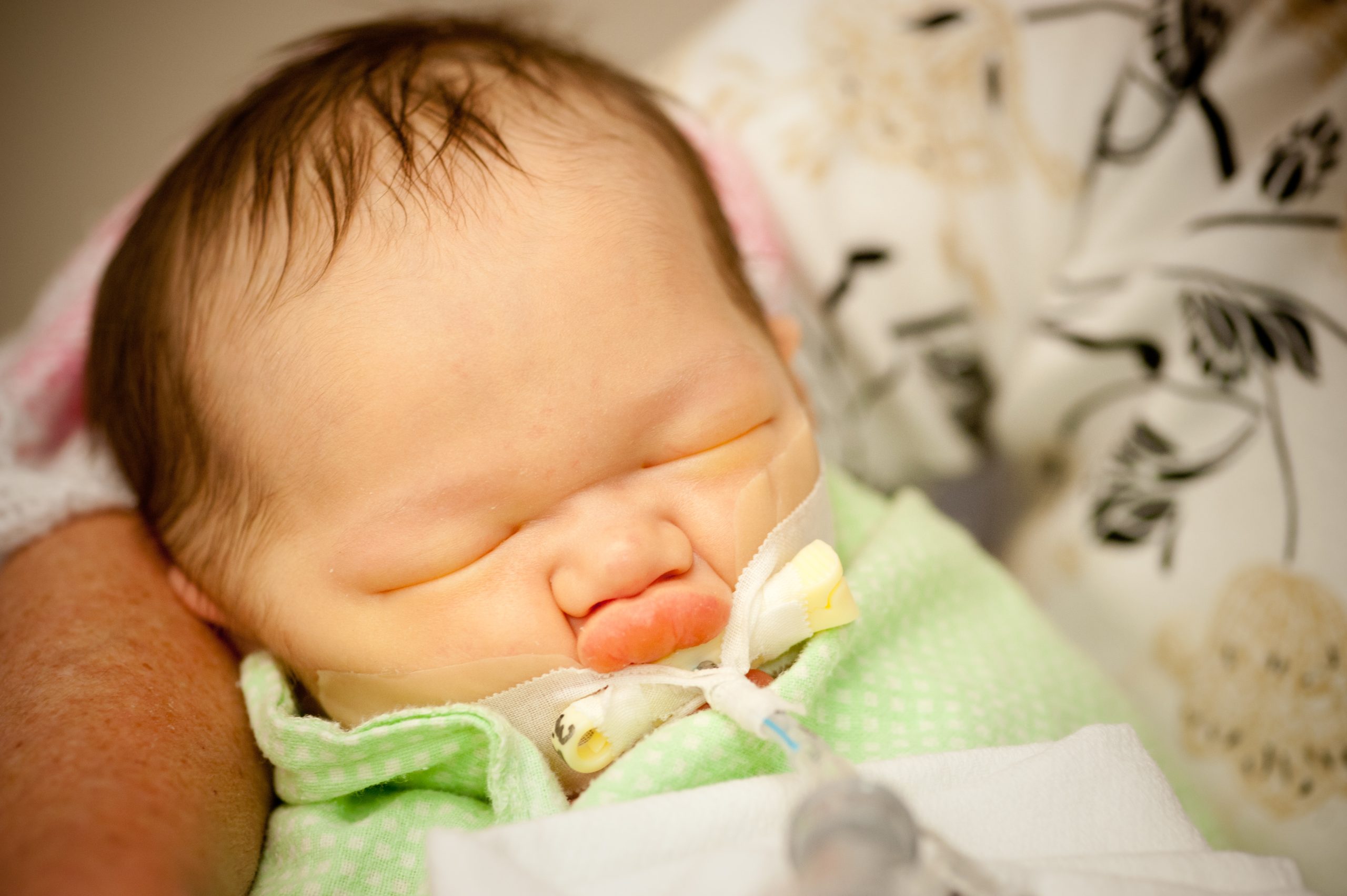 Chapters Four and Five (“What I Learned from Jane,” part three ...