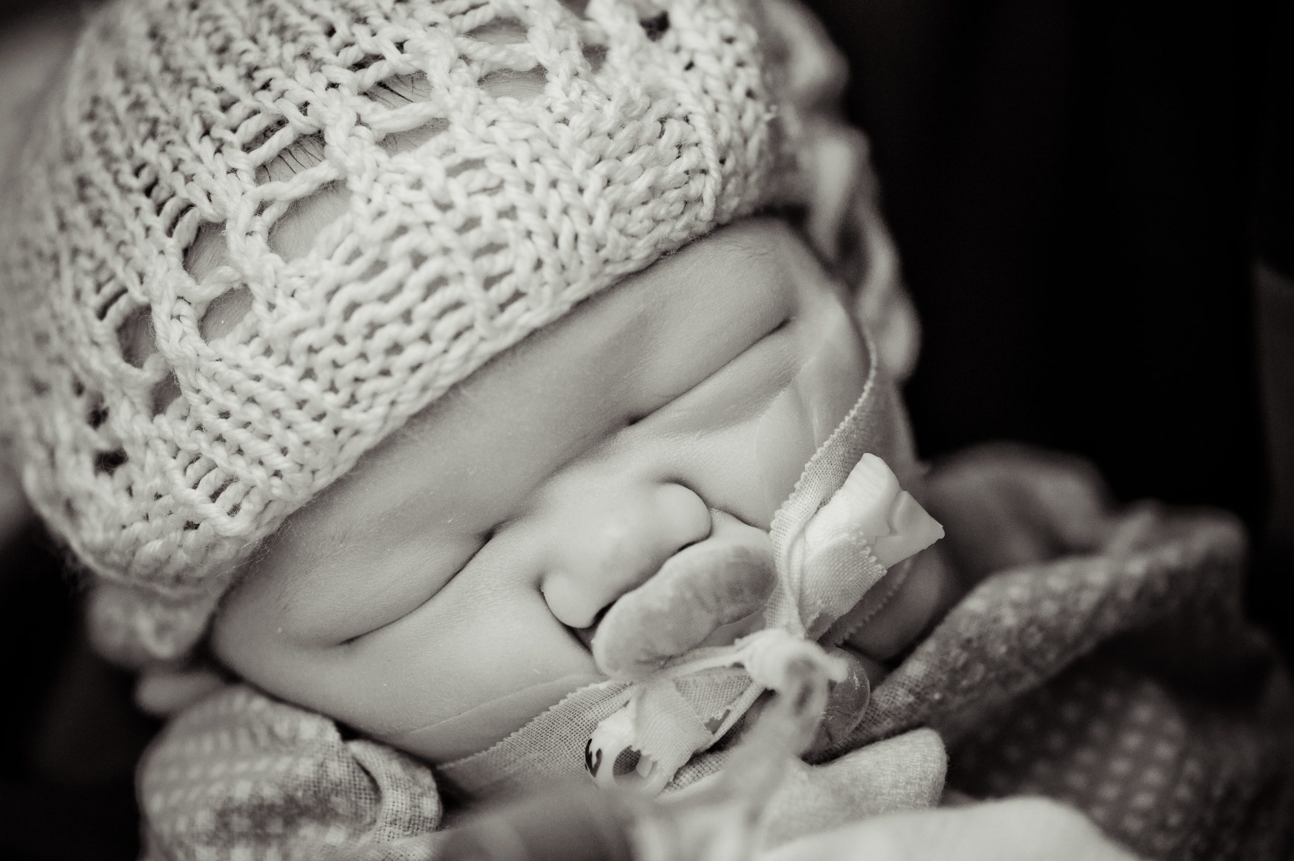 Prologue and Chapter One (“What I Learned from Jane,” part one ...